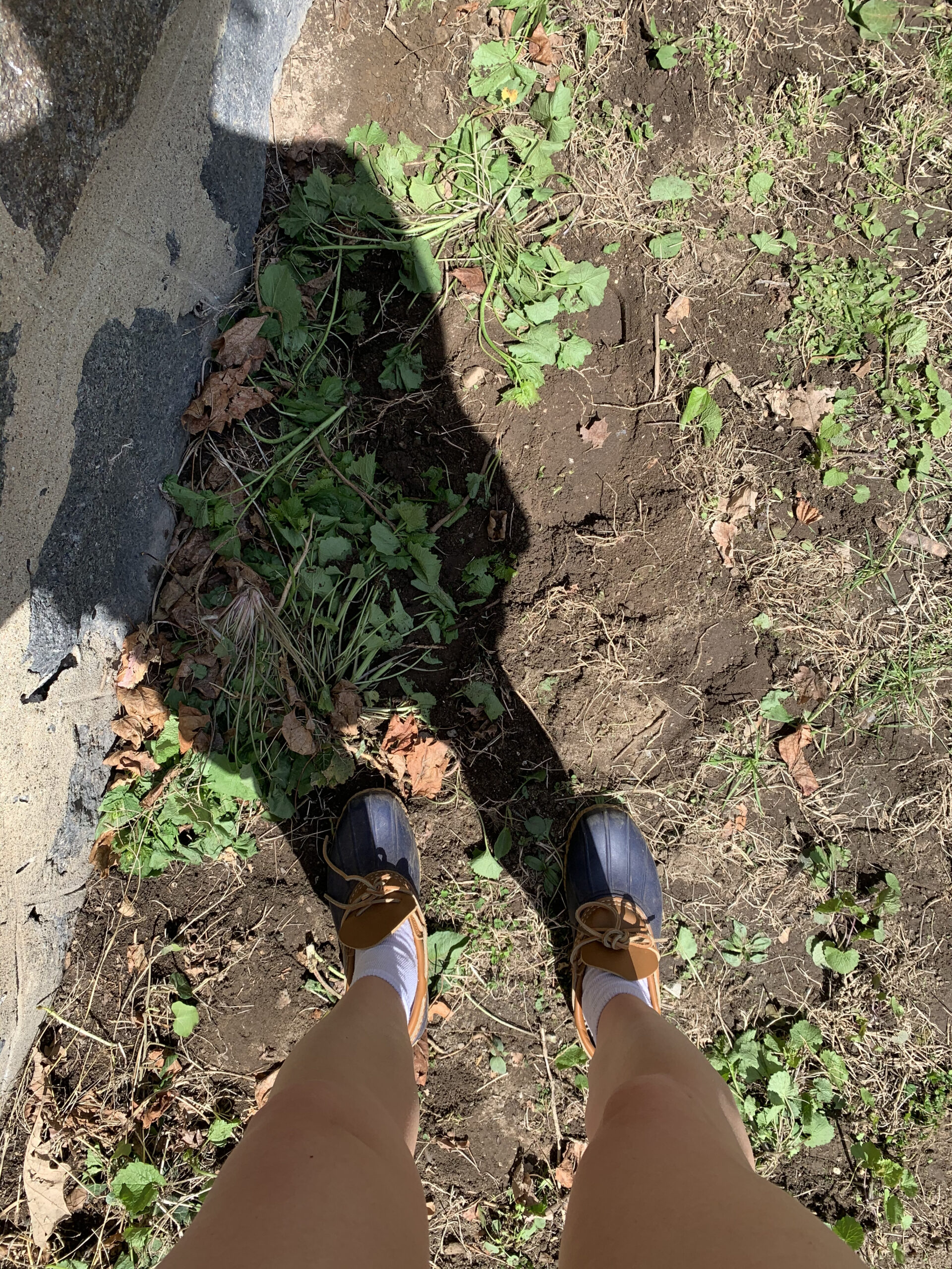 The Easy Guide to Starting a Garden Anywhere Without Breaking Your Back ...