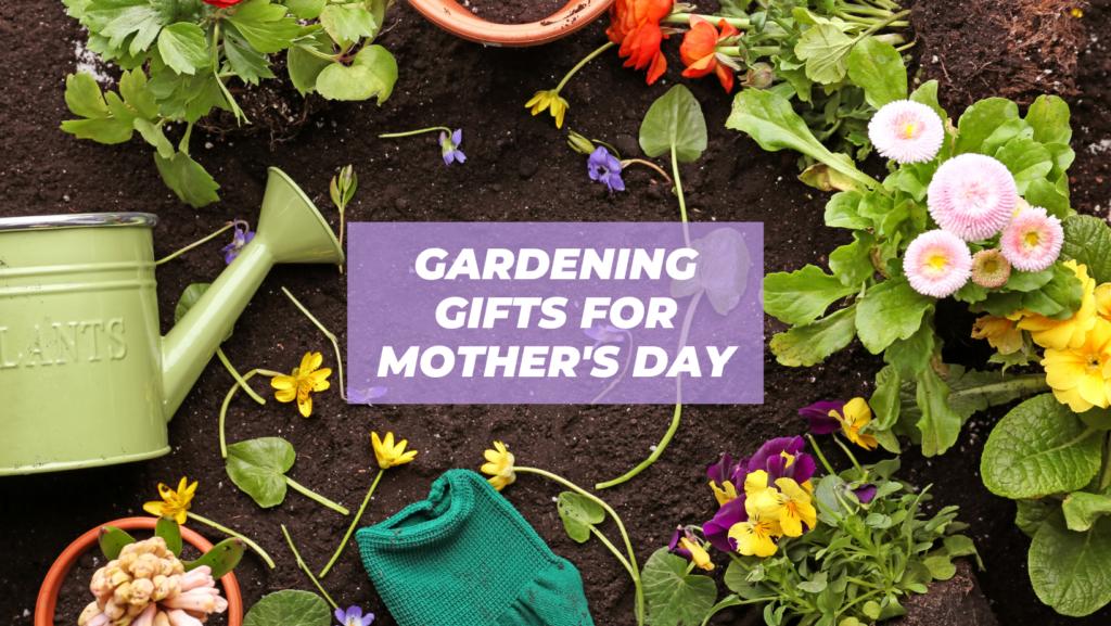 44 AWESOME Gardening Gifts for Mother’s Day - PunkMed