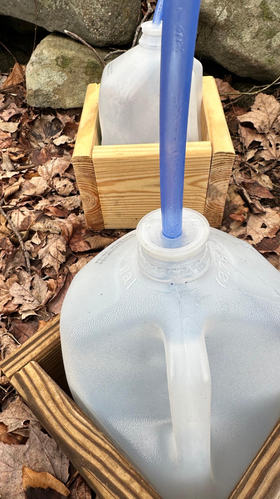 How to Make Maple Syrup | The Complete Guide - PunkMed